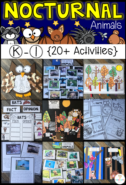 Nocturnal Animals Activities Kindergarten - Kindergarten Rocks Resources