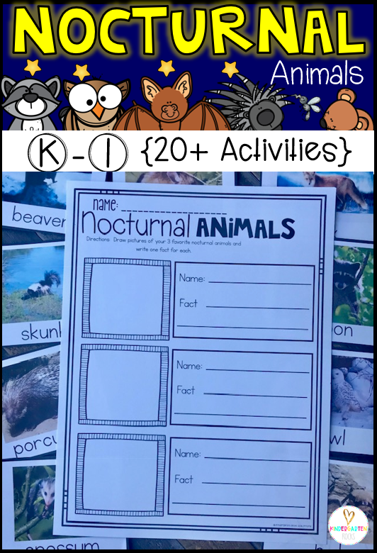Nocturnal Animals Activities Kindergarten - Kindergarten Rocks Resources