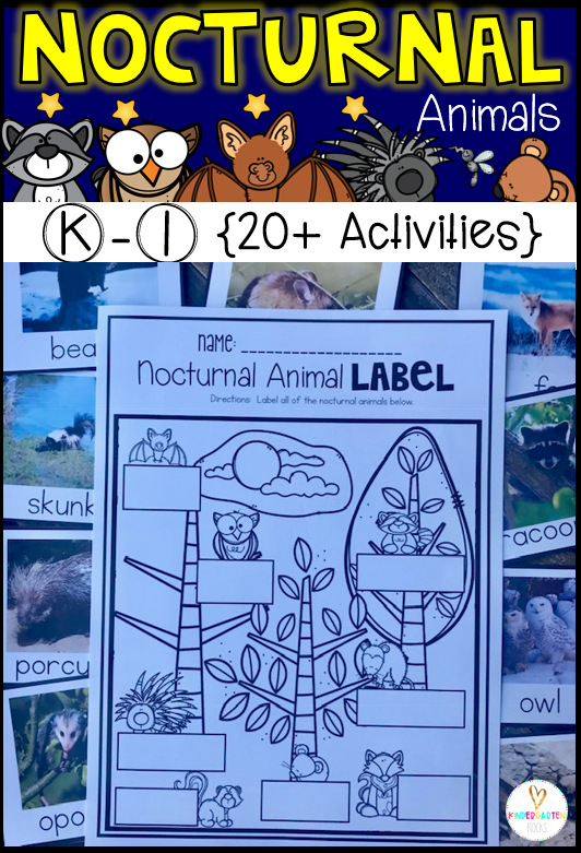 Nocturnal Animal Unit for Kindergarten (20+) Centers, Crafts, Science ...