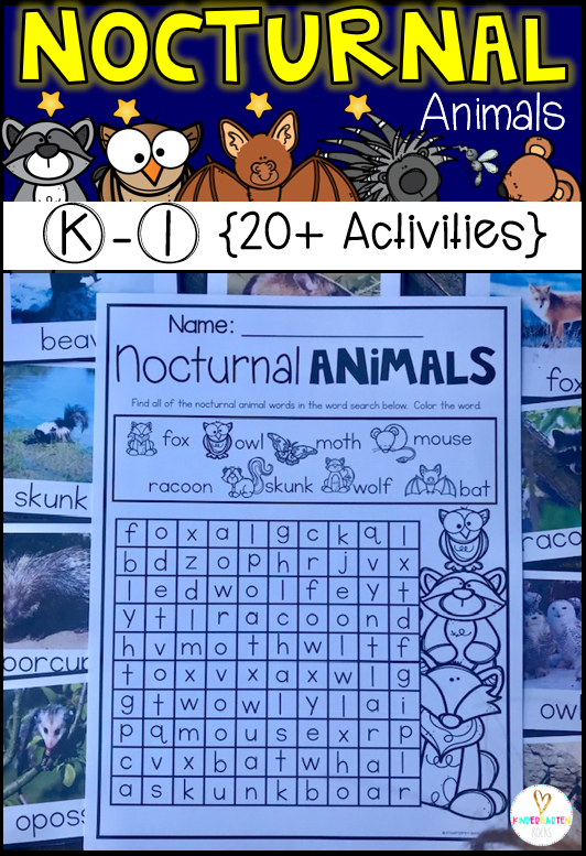 Nocturnal Animals Activities Kindergarten - Kindergarten Rocks Resources