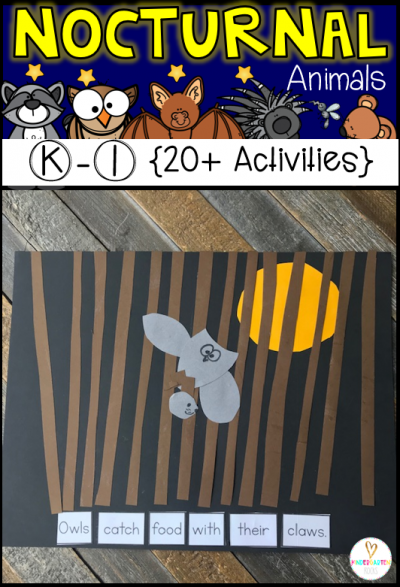 Nocturnal Animals Activities Kindergarten - Kindergarten Rocks Resources