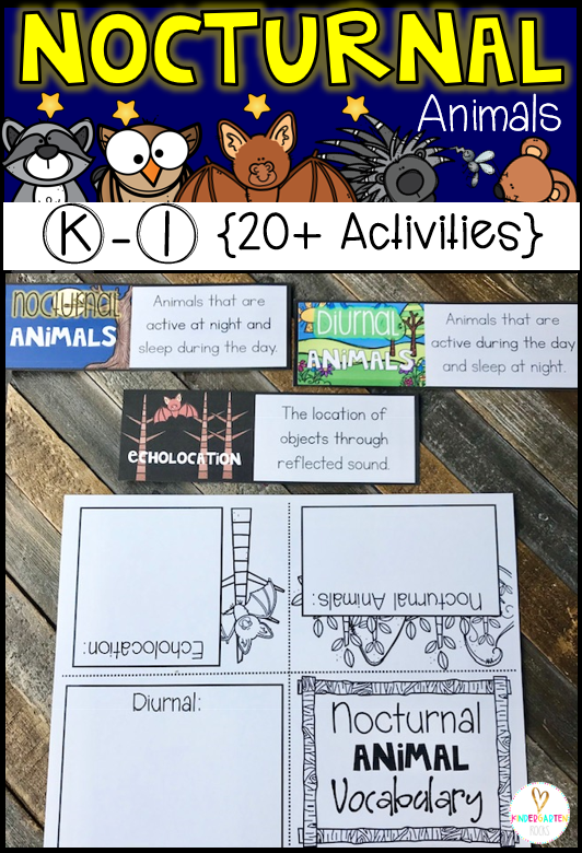 Nocturnal Animals Activities Kindergarten - Kindergarten Rocks Resources