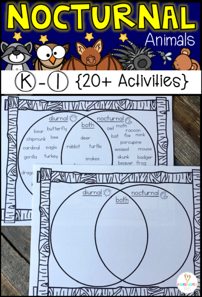 Nocturnal Animals Activities Kindergarten - Kindergarten Rocks Resources