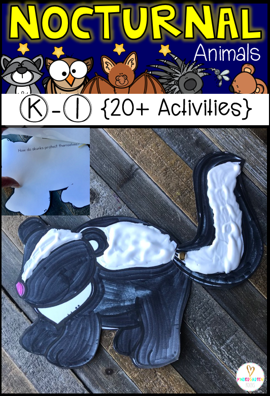 Nocturnal Animals Activities Kindergarten - Kindergarten Rocks Resources
