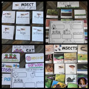 Insect Writing (20+ Sorting, Writing & ELA Printables) K-1 - Kindergarten