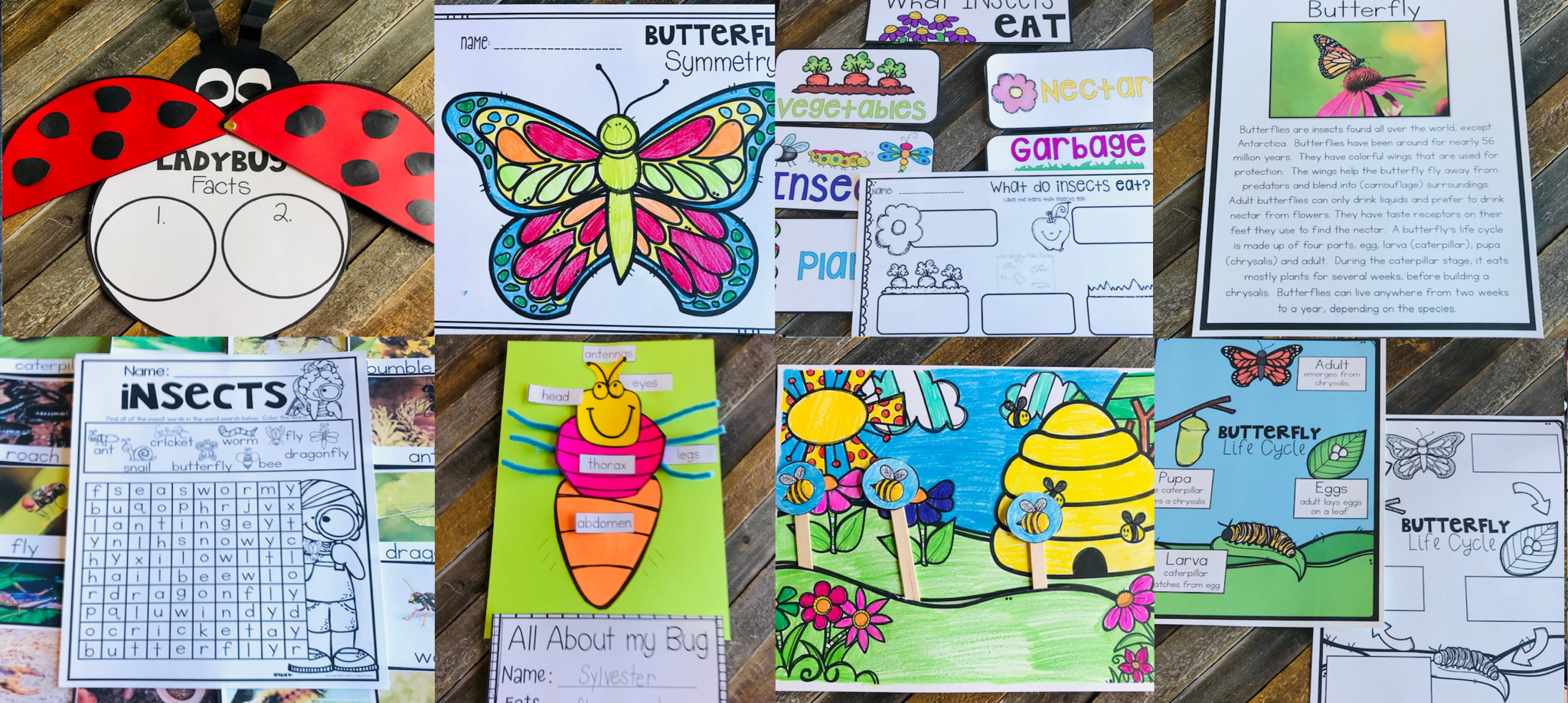 Insect Activities and Crafts for Kindergarten - Kindergarten Rocks ...