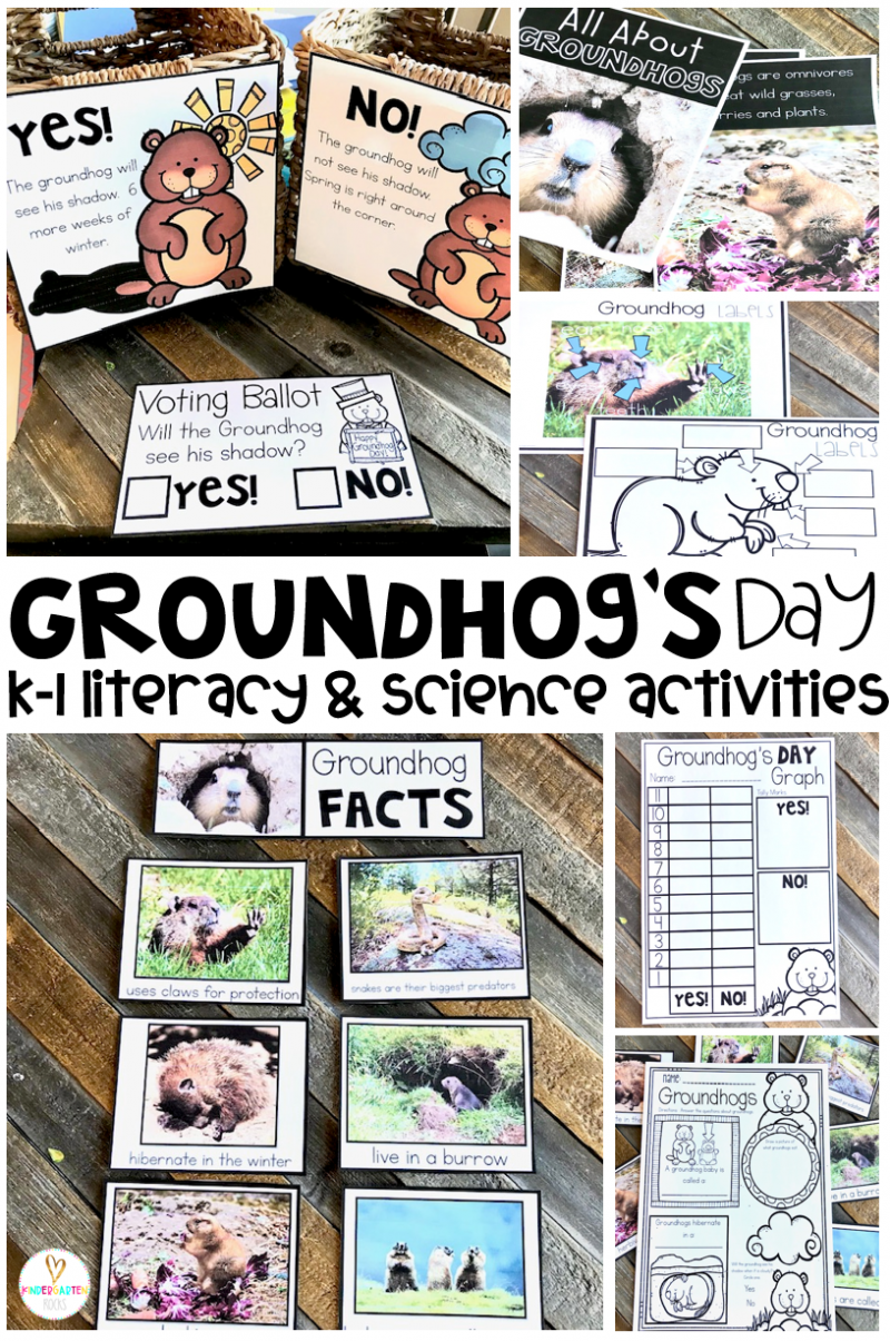 Groundhog's Day Activities for Kindergarten - Kindergarten Rocks Resources