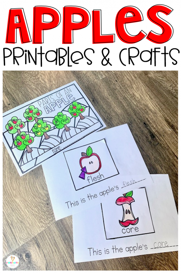 Apple Science Worksheets for Kindergarten - Kindergarten Rocks Resources