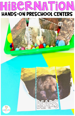 Hibernation Activities for Preschool - Kindergarten Rocks Resources