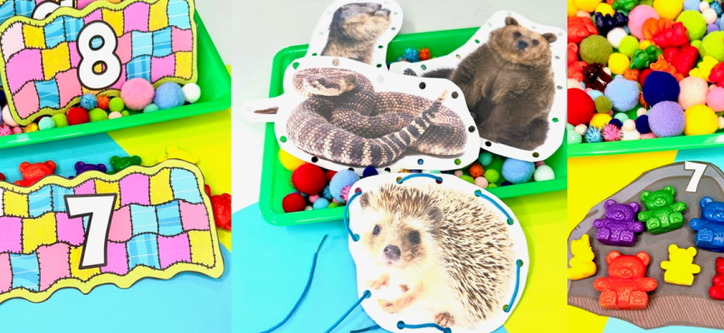 Hibernation Activities for Preschool - Kindergarten Rocks Resources