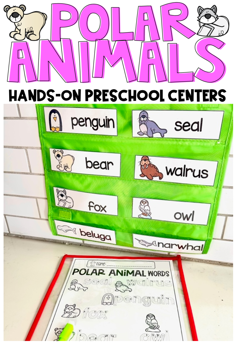 Polar Animals Centers for Preschool - Kindergarten Rocks Resources