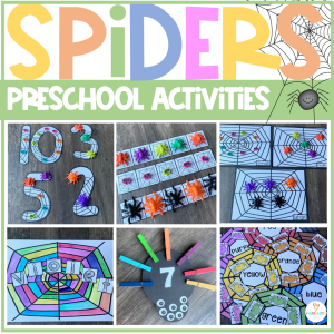 Spider Activities for Preschool - Kindergarten Rocks Resources